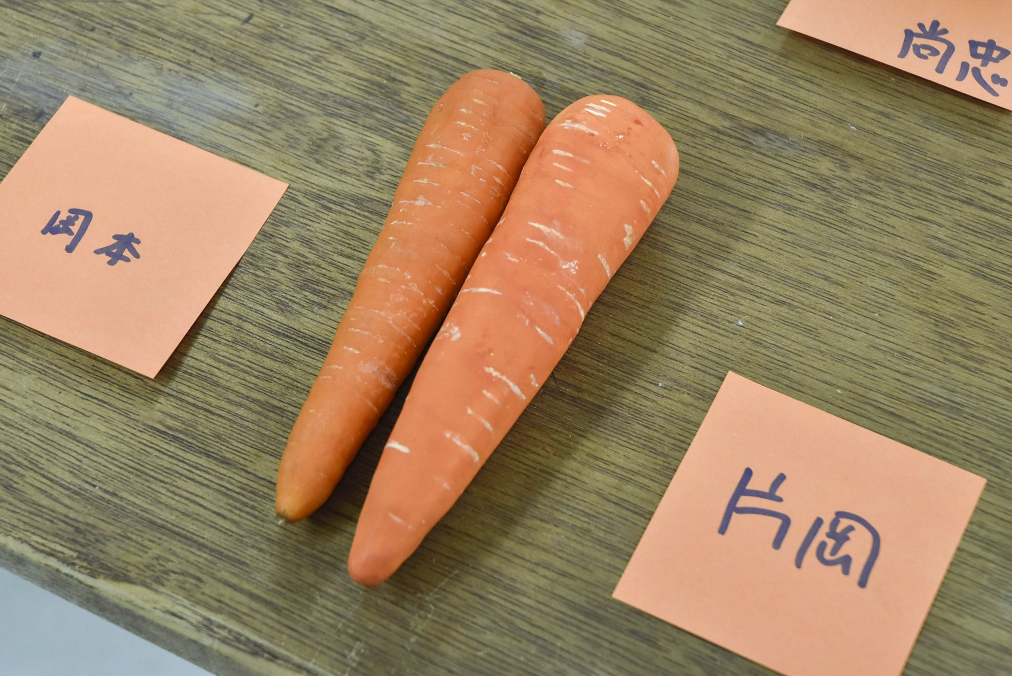 【SD1回生】今年も！パスタで造形 | 空間演出デザイン学科 | KUA BLOG